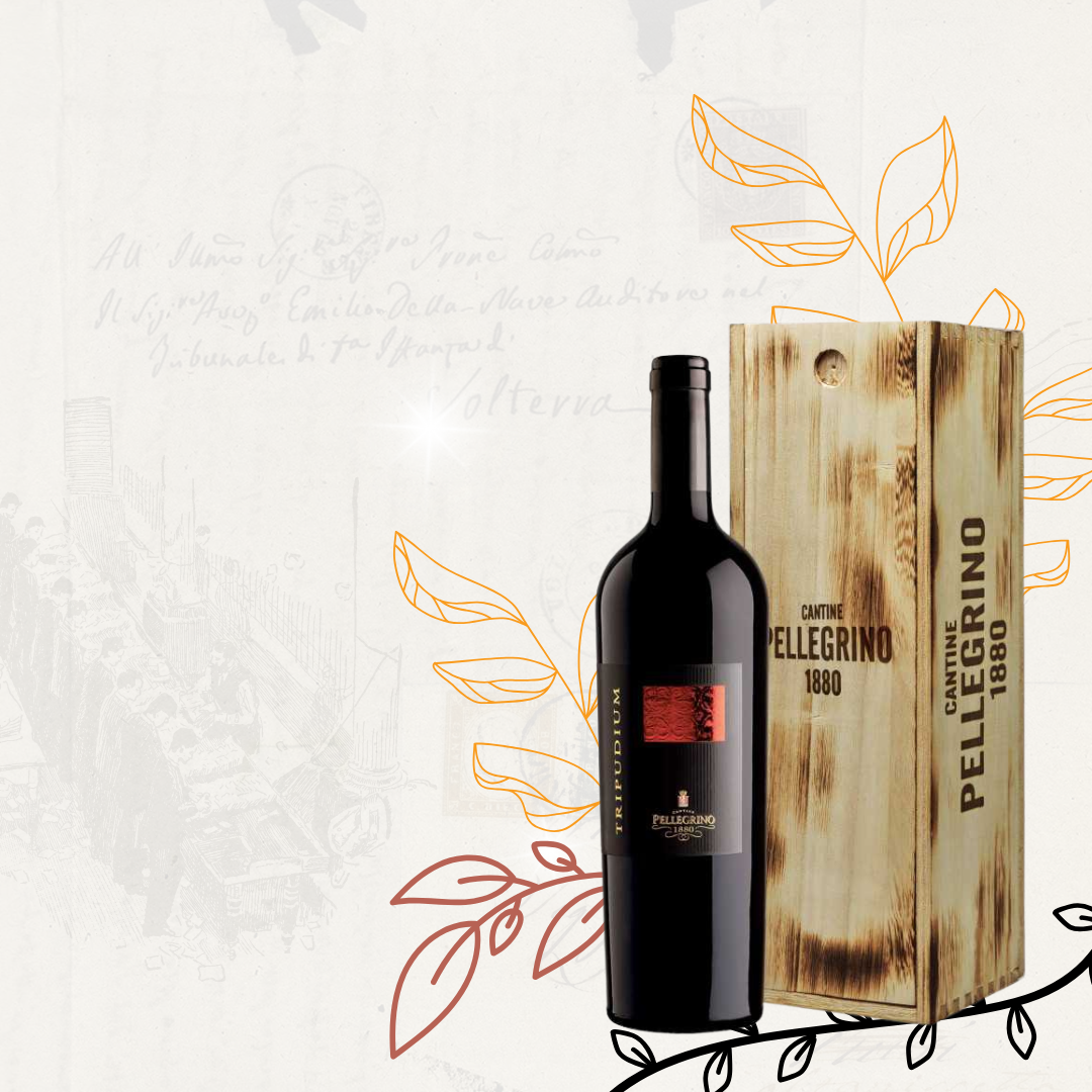 Premium Selection of Red, White, and Sparkling Wines | Fine Taste